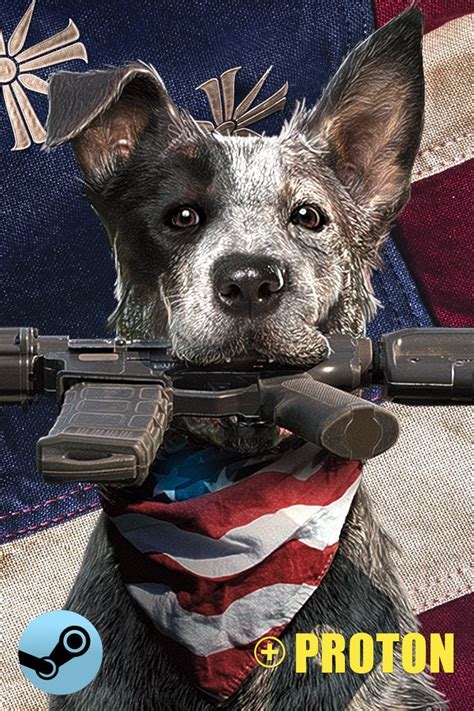 far cry 5 benchmark on linux with steam play proton valve compatibility