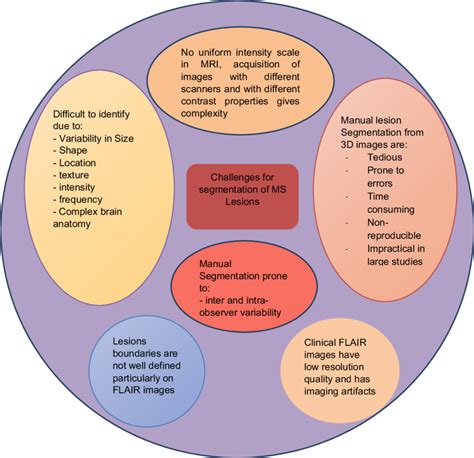Challenges Of Ms Lesion Segmentation Download Scientific Diagram