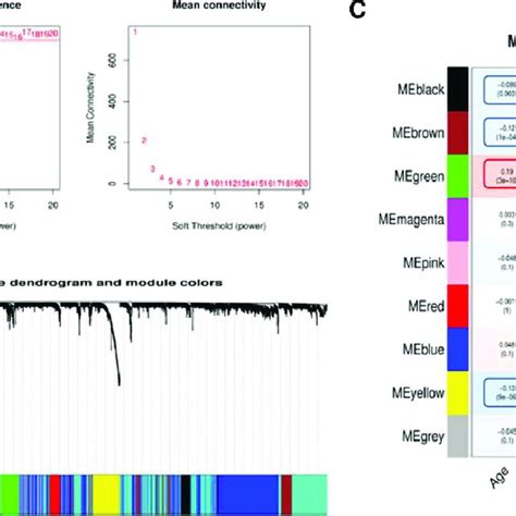 Weighted Gene Co Expression Network Analysis A The Graph On The Left