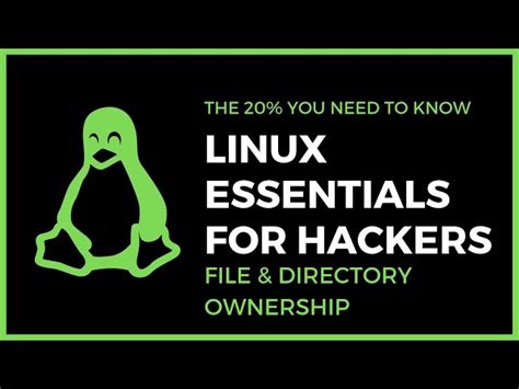 Hackersploit Blog Linux Essentials For Hackers