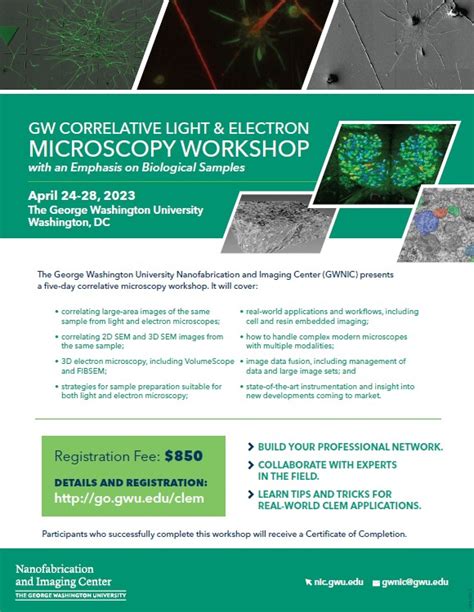 Gw Correlative Light And Electron Microscopy Workshop April 2023