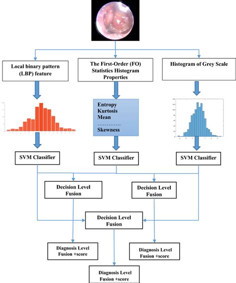Svm Based Decision Level Fusion Of Pairs Of Feature Schemes Download