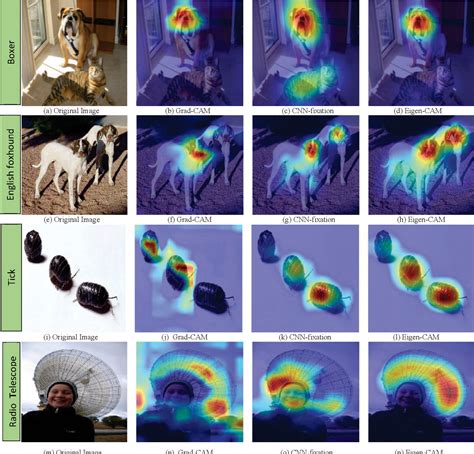 Pdf Eigen Cam Class Activation Map Using Principal Components