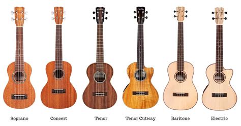 The Ultimate Cordoba Ukulele Review 2025 Teds List