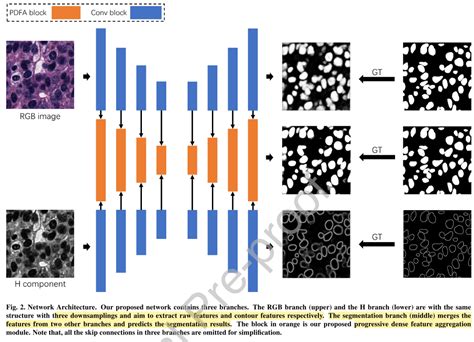 [mia 2020] triple u net hematoxylin aware nuclei segmentation with