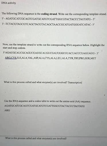 Dna Activitythe Following Dna Sequence Is The Coding Strand Write Out