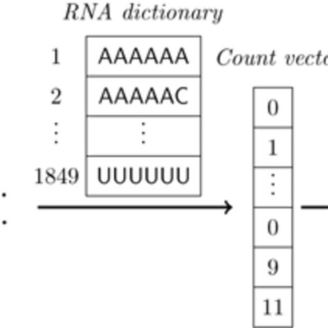 Schematic Illustration Of Encoding Rna Primary Sequence And Secondary