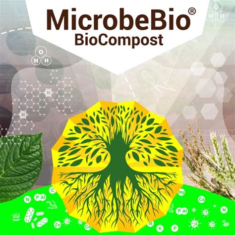 Home Microbial Fertilizer Organic Fertilizer Usa