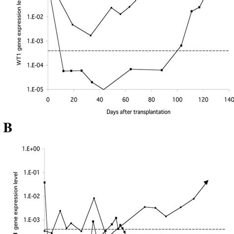 Monitoring Of Minimal Residual Disease Mrd By Quantitation Of Wt1