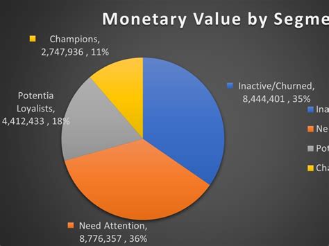 a data segmentation analysis and visualizations in microsoft excel upwork