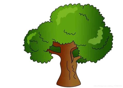 Python绘制词云图（新手入门）python 词云 Mask Csdn博客