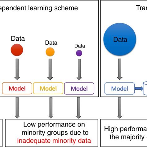 multiethnic machine learning schemes in the mixture learning scheme a