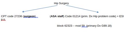 anesthesia basic coding guidlines part c