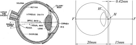 Figure 1 1 From Geometric Camera Models Semantic Scholar