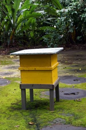 Hive Types SAMSwiki