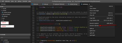 Reveal GOROOT GOPATH In Side Bar Issue Microsoft Vscode GitHub