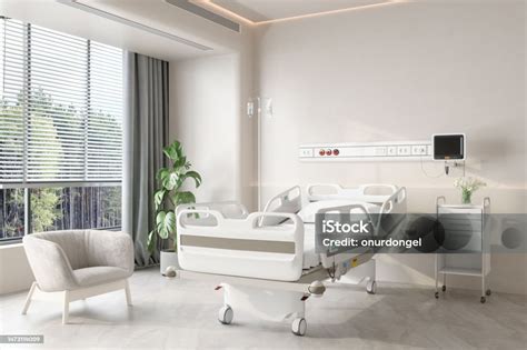 빈 침대 안락의자 및 화분에 심은 식물이 있는 현대적인 고급 병원 룸 인테리어 병원에 대한 스톡 사진 및 기타 이미지 병원 병동 가정의 방 Istock