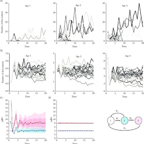 Stochasticity In The Simulation Outcomes Example Simulations Based On