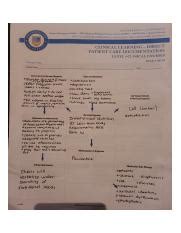 Concept Map CHAMBERLAIN CHAMBERLAIN UNIVERSITY National Management