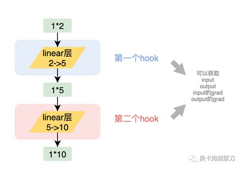 如何优雅的提取feature map和gradient map 个简单例子理解pytorch中的hook的使用 轻识