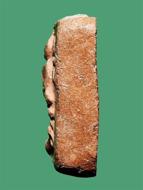 พระหลวงพ่อปาน พิมพ์ขี่ไก่หาง 3 เส้น วัดบางนมโค Ennxo