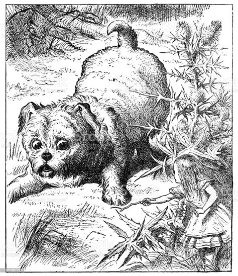Playing With A Big Dog Alice In Wonderland 1897 Stock Illustration