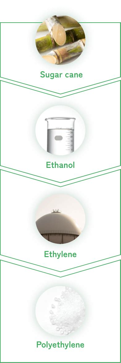 Green Polyethylene Special Website Sojitz Pla Net Corporation