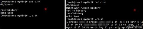 Shell脚本执行无结果回显事件shell执行命令不输出结果 Csdn博客