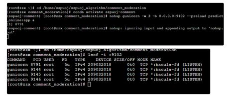 TextCNN 文本分类模型在文章评论审核中的实现与部署 明凡编程宝典