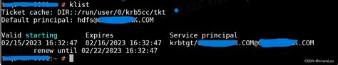 【kerberos】curityaccesscontrolexception Client