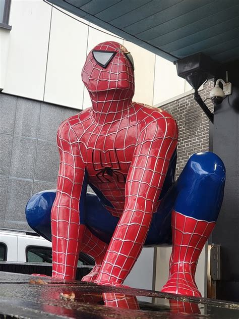 Homem Aranha Herói Quadrinho Foto Gratuita No Pixabay Pixabay