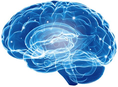 Blue Brain PNG Image