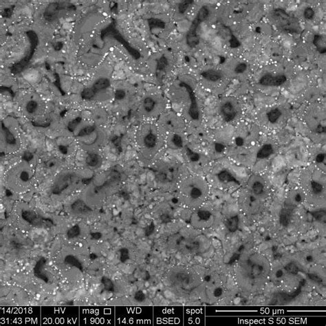 Surface Morphology Results From Sem Observation Of Sample Me 4 At Download Scientific Diagram