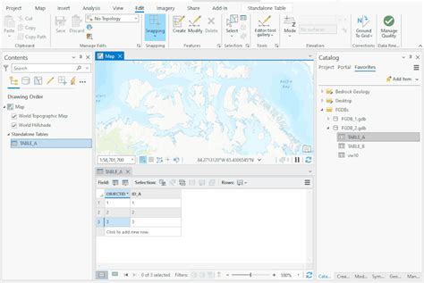 Easier Row Creation Using Keyboard In Standalone T Esri Community
