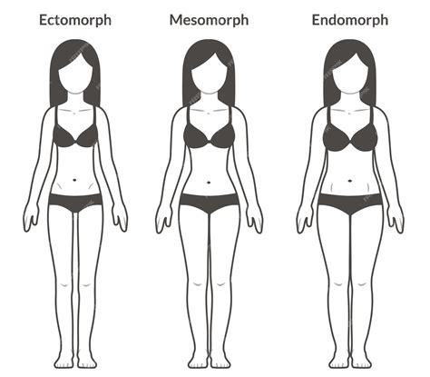 Tipos De Cuerpo Femenino Ectomorfo Mesomorfo Y Endomorfo Vector Premium