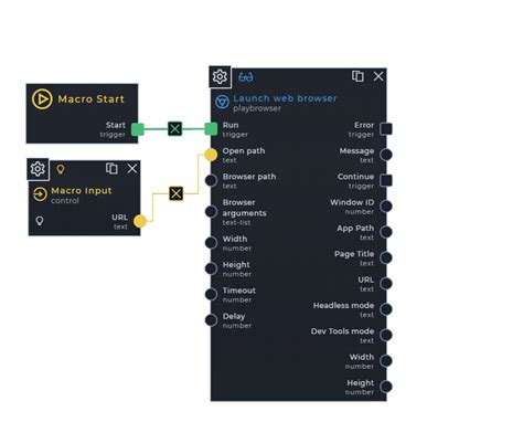 Macro Input Roboteur Guideline