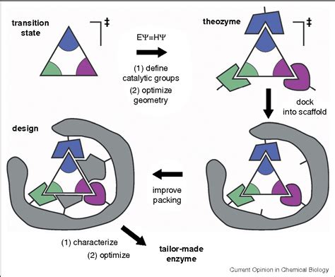 Figure 2 From De Novo Enzymes By Computational Design Semantic Scholar
