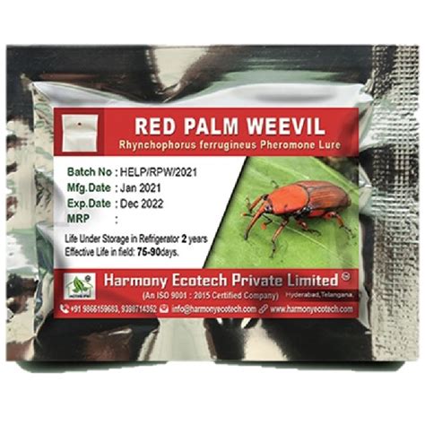 Rhynchophorus Ferrugenious Red Palm Weevil Lures