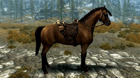 The Best Horse Mods For Skyrim High Ground Gaming