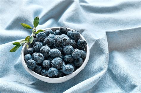 신선한 유기농 블루베리 파란색 천에 흰색 그릇에 육즙이 잘 익은 월귤나무속 항산화 및 건강한 식생활 개념 평면도 배경 주제에