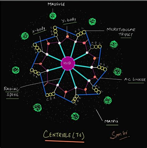 Sami Ullah On Linkedin 🧡