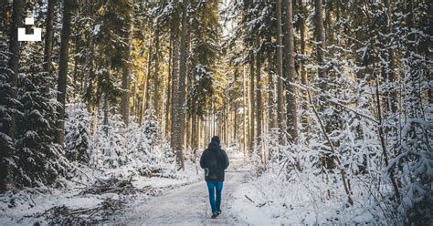 파란 재킷과 파란 데님 청바지를 입은 사람이 나무로 둘러싸인 눈 덮인 땅을 걷고 있다 사진 Unsplash의 무료 검은 숲 이미지