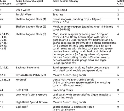 Benthic Habitat Classification Scheme Download Table