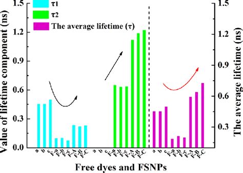Synthetic Histogram Analysis For The Fluorescence Lifetime Components