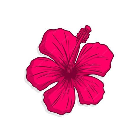 Red Hibiscus Flower Vector Design Premium Vector