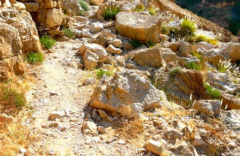 My Incredible Journey On The Road To Jericho Lds Blogs