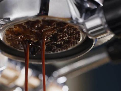 Coffee Extract Substitute Alternatives For A Rich And Flavorful Brew Northern Nester