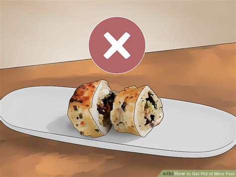 3 Ways To Get Rid Of Mice Fast WikiHow 3 Ways To Get Rid Of Mice Fast WikiHow