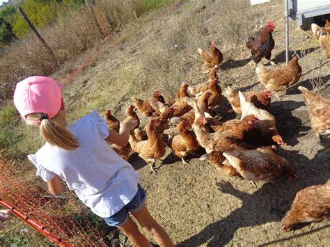 Галерия Biotiful Farm