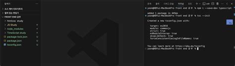타입스크립트 컴파일러와 환경설정과 옵션들